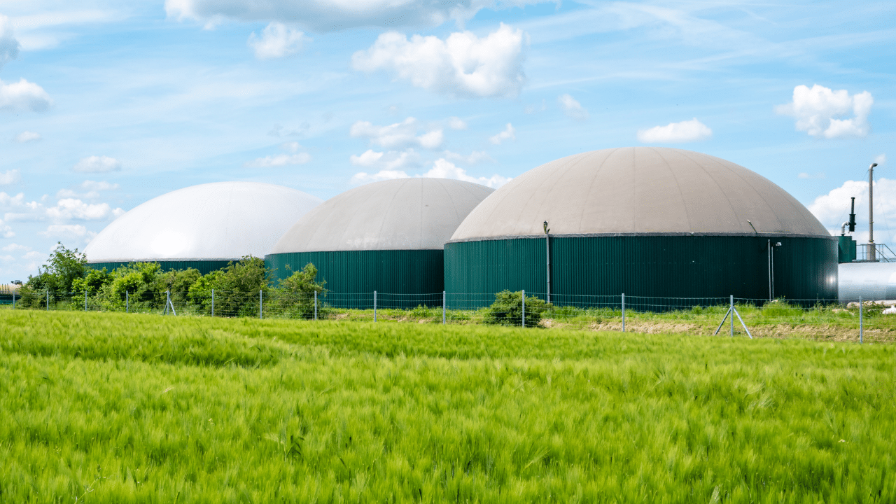 Exploring the Global Biogas Plant Boom: A Sustainable Solution - Darwin ...